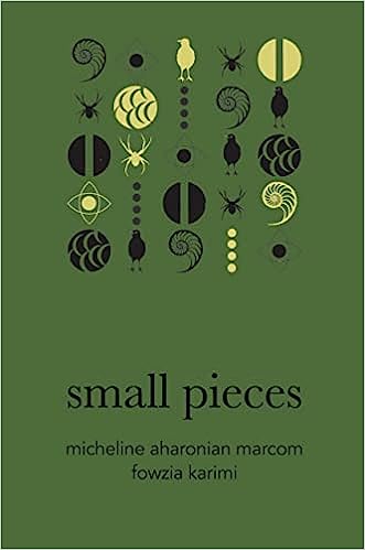 small pieces (American Literature) by Micheline Aharonian Marcom ...