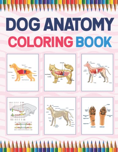 Dog Anatomy Coloring Book: Dog Anatomy Coloring Workbook for Kids, Boys ...