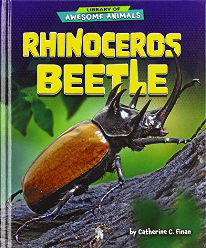 Rhinoceros Beetle - Non-Fiction Reading for Grade 3, Developmental ...