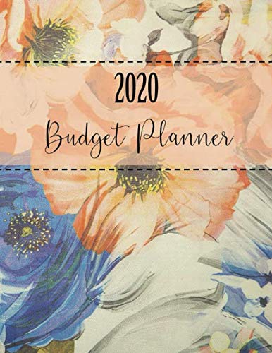 Budget Planner 2020: Financial planner organizer budget book 2020 ...