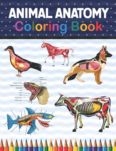 Animal Anatomy Coloring Book Animals Physiology Self Quiz Color animal-anatomy-coloring-book-animals-physiology-self-quiz-color