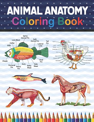 Animal Anatomy Coloring Book Animal Anatomy And Veterinary Physiology animal-anatomy-coloring-book-animal-anatomy-and-veterinary-physiology