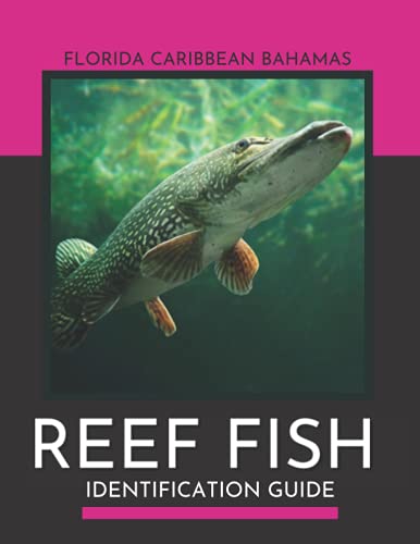 Reef Fish Identification Guide : Florida Caribbean Bahamas by Karish Ys ...