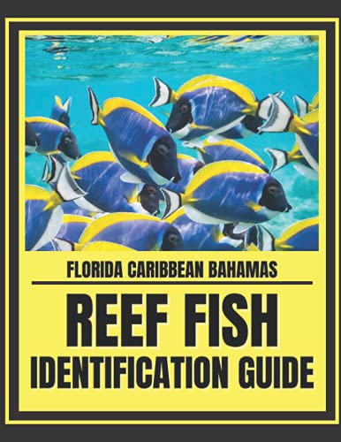 Reef Fish Identification Guide : Florida Caribbean Bahamas by Karish Ys ...