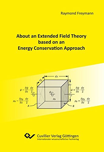 About an Extended Field Theory based on an Energy Conservation Approach ...