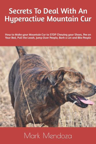 Secrets To Deal With An Hyperactive Mountain Cur: How to Make your ...