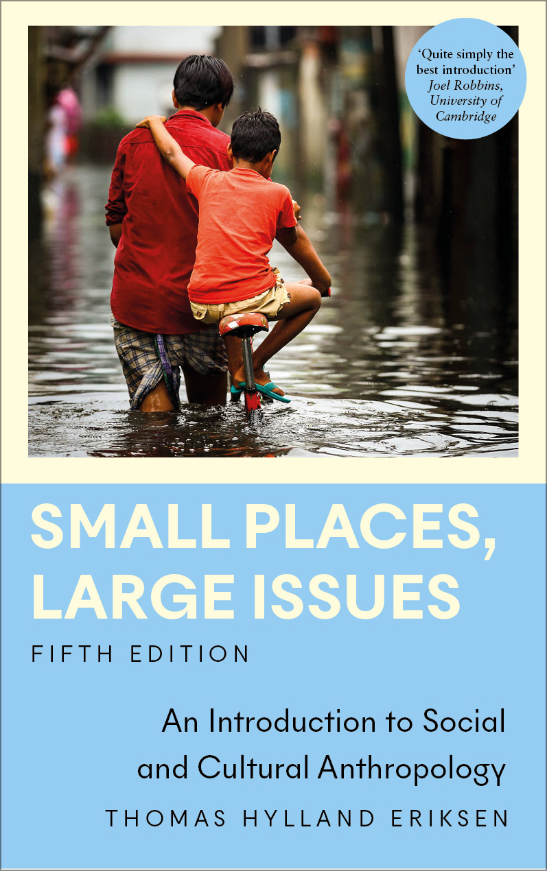 Small Places, Large Issues: An Introduction to Social and Cultural ...