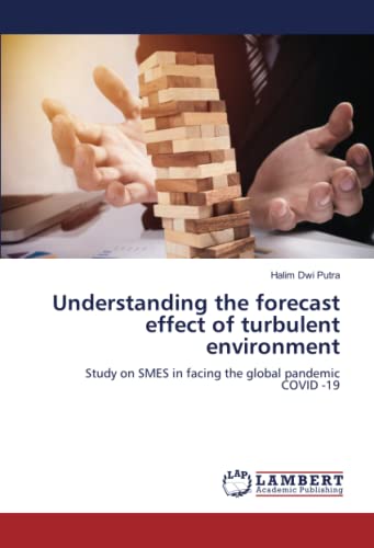 Understanding the forecast effect of turbulent environment: Study on ...