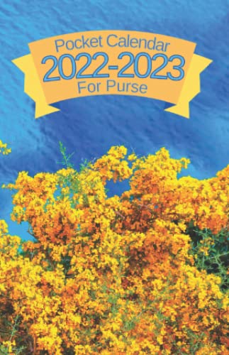 Pocket Calendar 2022-2023 for Purse: Two Year Monthly Planner January ...