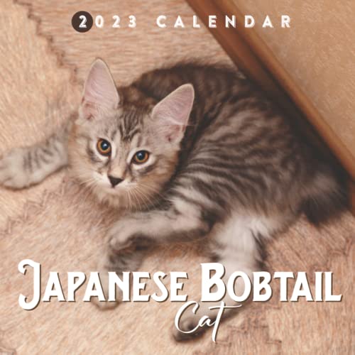 Japanese Bobtail Cat Calendar: 18-month 2023 Calendar - Large monthly ...