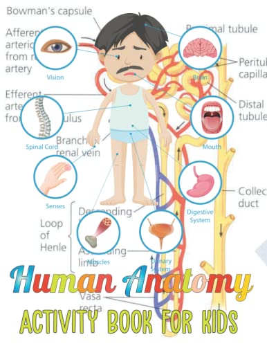 Human Anatomy Activity Book for Kids: My Amazing Body Machine. (Hands ...