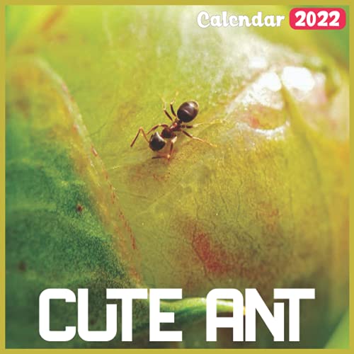 Cute Ant Calendar 2022: Official Insect Calendar 2022, 18 Month Photo ...