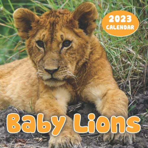 Baby Lions Calendar: Beautiful 2023 Calendar Gift for Family, Friends ...