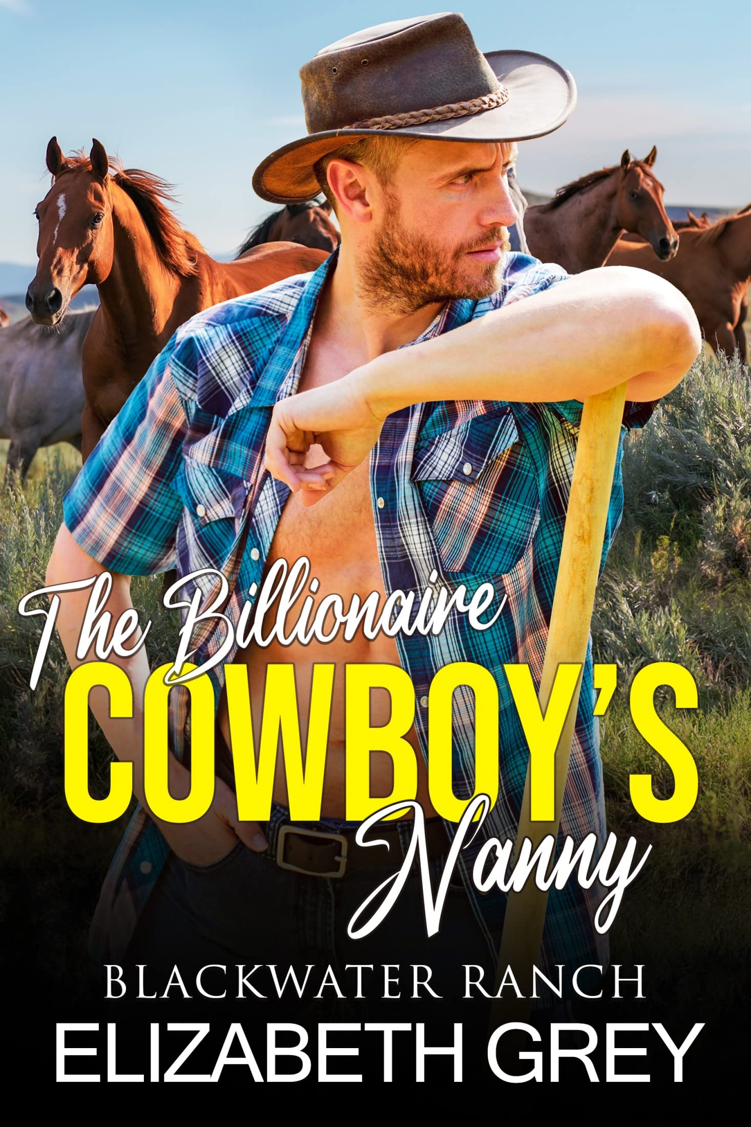 The Billionaire Cowboy's Nanny by Elizabeth Grey | Goodreads