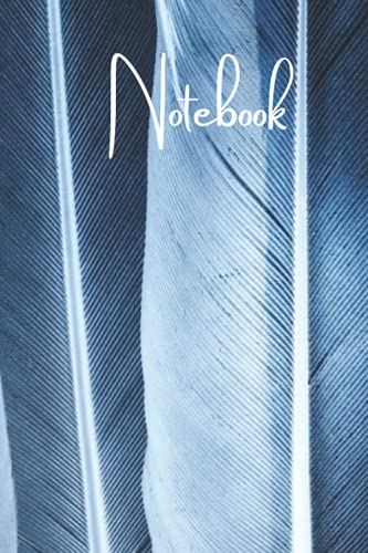 Beautiful Feather Notebook: Lined Notebook Journal-Perfect for ...