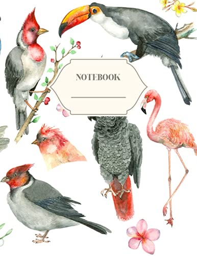Notebook: Bird Cover 8.5” x 11”, Soft Cover, Lined Paper, 100 Pages by ...