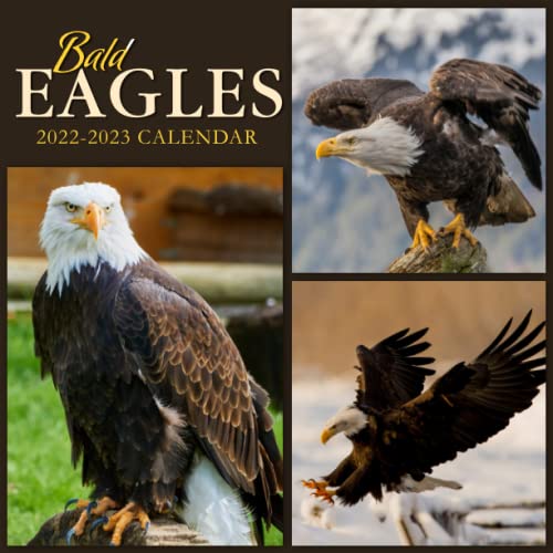 Bald Eagles Calendar 2022: Bald Eagles Calendar 2022-2023 animals ...