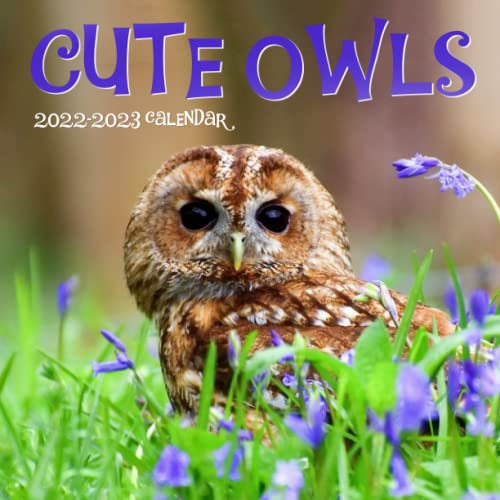 Cute Owls Calendar 2022: Cute Owls Calendar 2022-2023 animals-animal ...