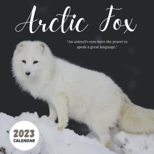 Arctic Fox Calendar: Beautiful 2023 Calendar Gift for Family, Friends ...