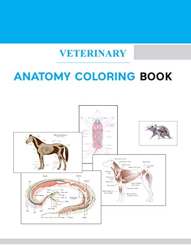 Veterinary Anatomy Coloring Book: Animal Anatomy Coloring Book, An ...