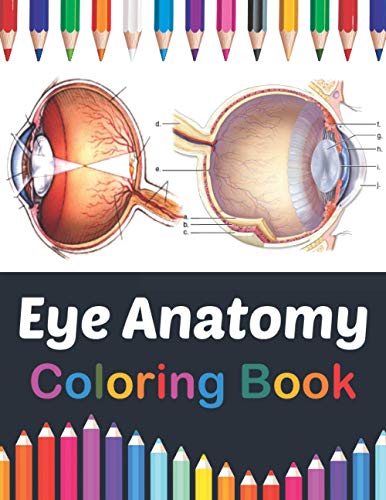 Eye Anatomy Coloring Book: Incredibly Detailed Self-Test Human Eye ...
