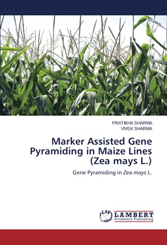 Marker Assisted Gene Pyramiding in Maize Lines (Zea mays L.): Gene ...