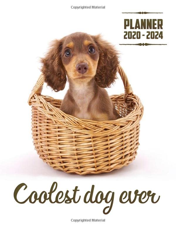 Coolest Dog Ever Planner 2020-2024 (5 Year Planner): 60 Months Yearly ...