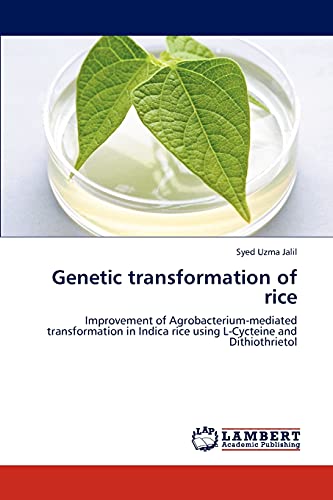 Genetic Transformation Of Rice Improvement Of Agrobacterium Mediated