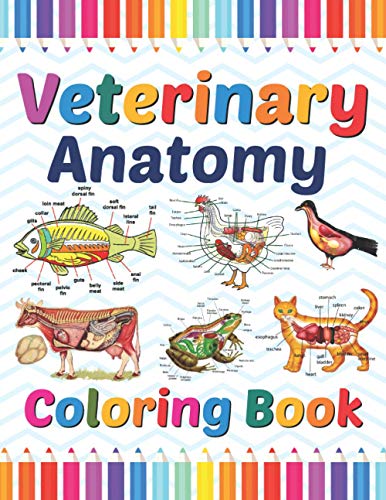 Veterinary Anatomy Coloring Book: Veterinary Anatomy Self Test Guide ...