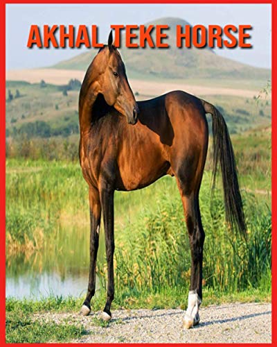 Akhal Teke Horse: Amazing Facts & Pictures by Kelli Richard | Goodreads