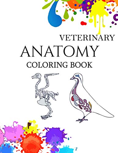 Veterinary Anatomy Coloring Book: Animal Anatomy Coloring Book, Funny ...