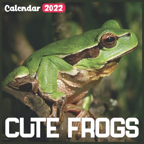 Cute Frogs Calendar 2022: Official Frog Calendar 2022, 18 Month Photo ...