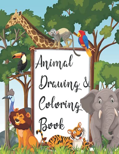 Animal Drawing & Coloring Book: coloring pencils set with book / kids ...