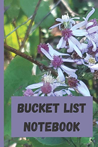 BUCKET LIST NOTEBOOK: THE PERFECT NOTEBOOK BUCKET LIST FOR FAMILIES by ...