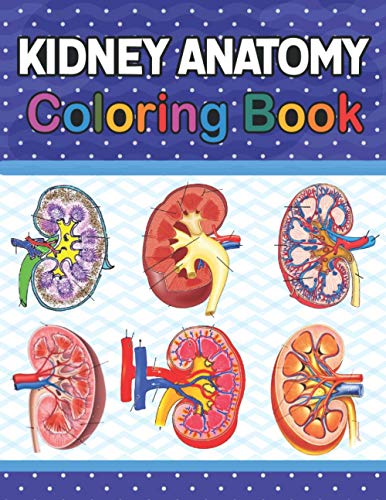 Kidney Anatomy Coloring Book: Human Kidney Anatomy Workbook For Kids ...