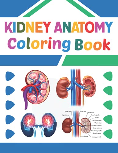 Kidney Anatomy Coloring Book: Human Kidney Anatomy Student's Self-test ...