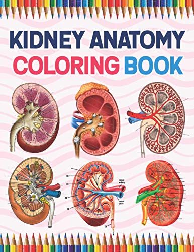 Kidney Anatomy Coloring Book: Nephrology Coloring Book For Nephrologist ...