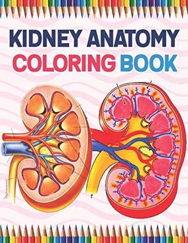 Kidney Anatomy Coloring Book: Nephrology Coloring Book For Nephrologist ...