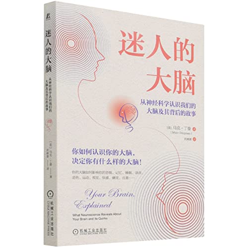 Your Brain, Explained: What Neuroscience Reveals About Your Brain and ...