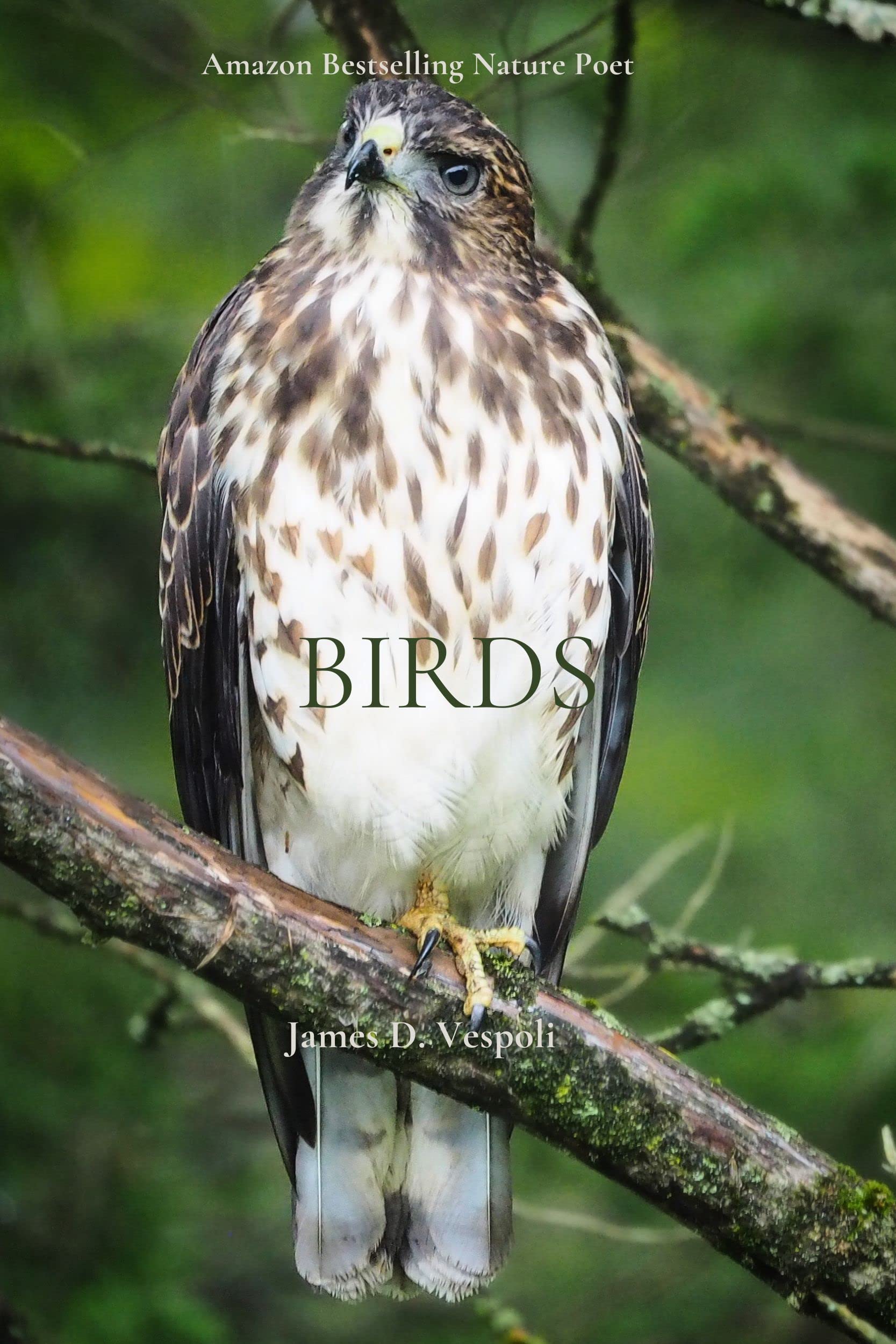 Birds: Images of Birds and their Follies by James Vespoli | Goodreads