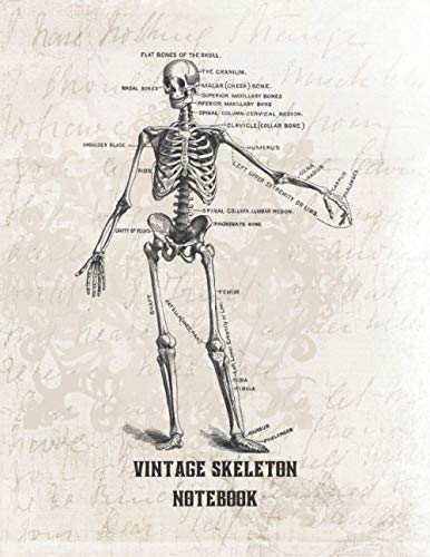 Vintage Skeleton: Notebook by Frankie Adams | Goodreads