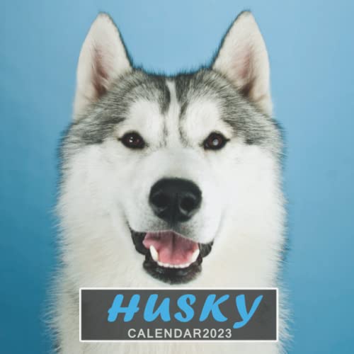 Husky calendar 2023: Yearly monthly 12-month calendar 2023 with Large ...