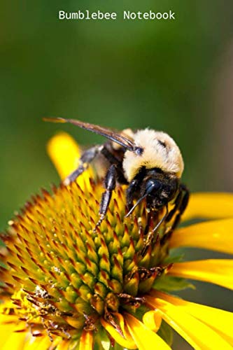 Bumblebee Notebook: Portable lined Bumblebee - Travel Journal to write ...
