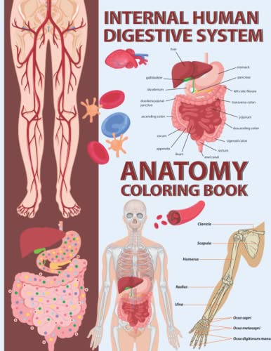 Internal Human Digestive System Anatomy Coloring Book: How Our ...