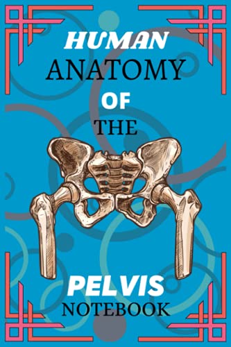 HUMAN ANATOMY OF THE PELVIS NOTEBOOK: Blank lined Human Anatomy of the ...