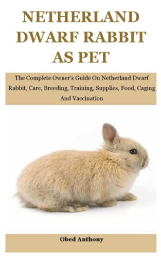 Netherland Dwarf Rabbit As Pet: The Complete Owner’s Guide On ...