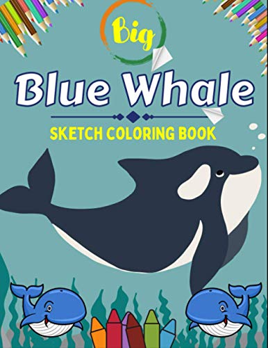 Big Blue Whale sketch coloring book: Creativity and Mindfulness ...