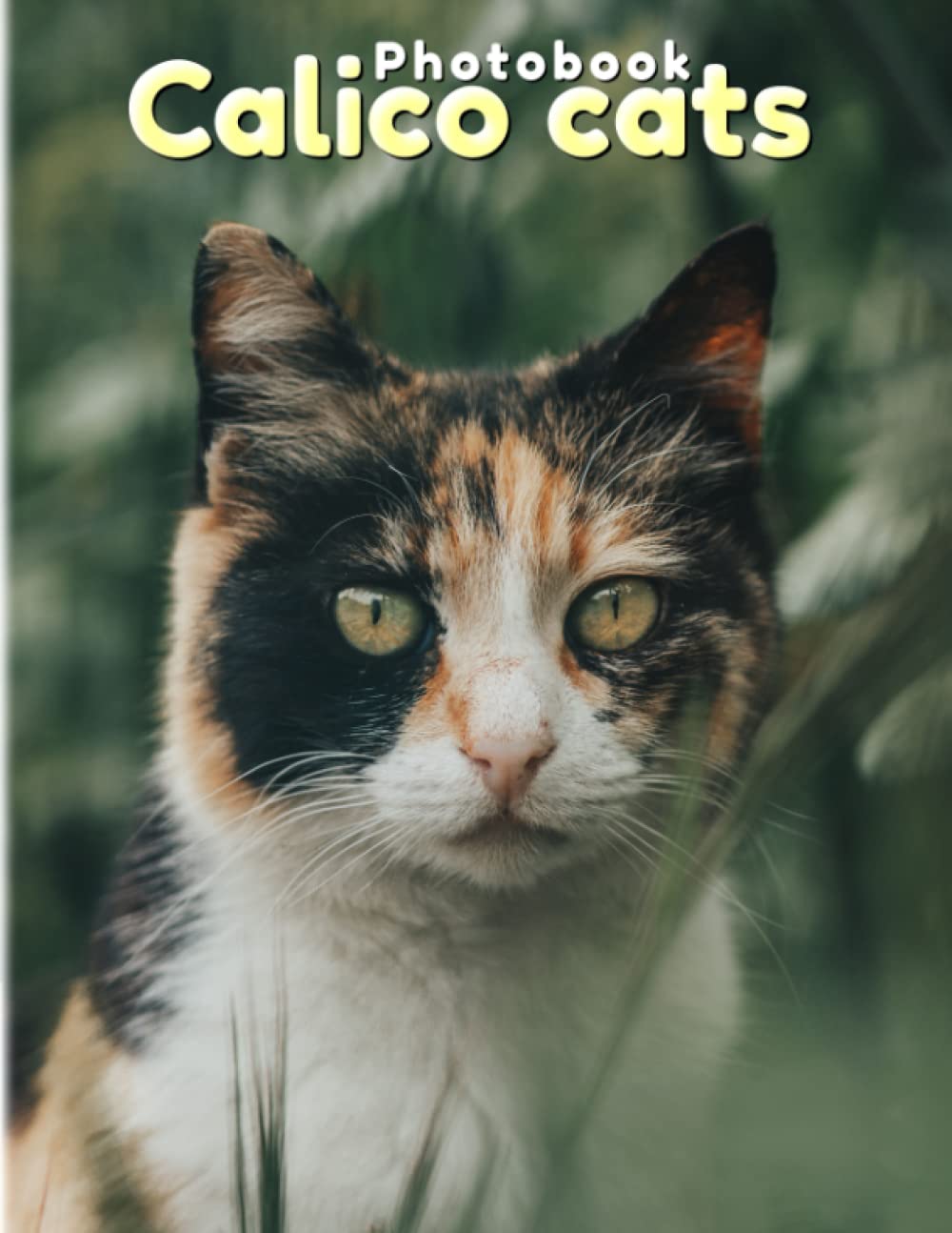 Calico Cats Photobook: Lovely Fluffy Animal Photography Book for Teens ...