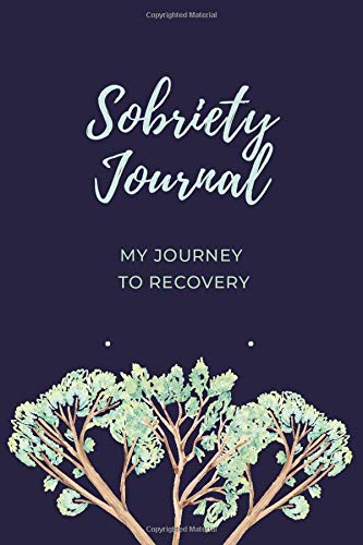 Sobriety Journal My Journey To Recovery /: A Guided Motivational ...
