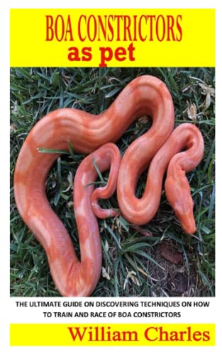 BOA CONSTRICTOR AS PET: The Ultimate Guide on Discovering Techniques on ...